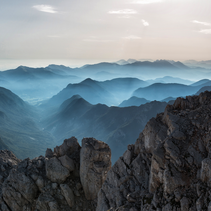 Elevation – Wealth Management