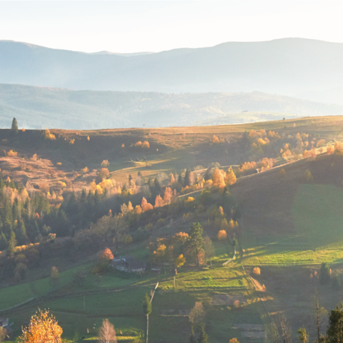 Elevation – Wealth Management